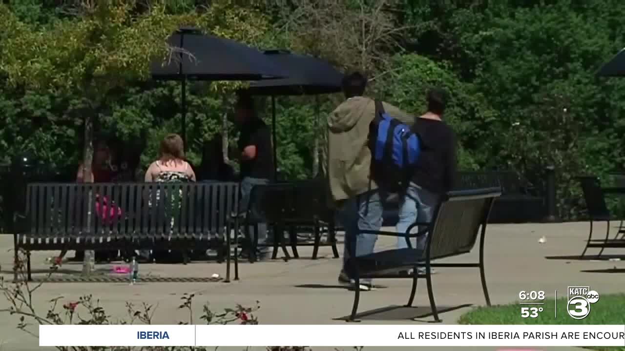 In Your Parish Headlines: Lafayette, November 13, 2025