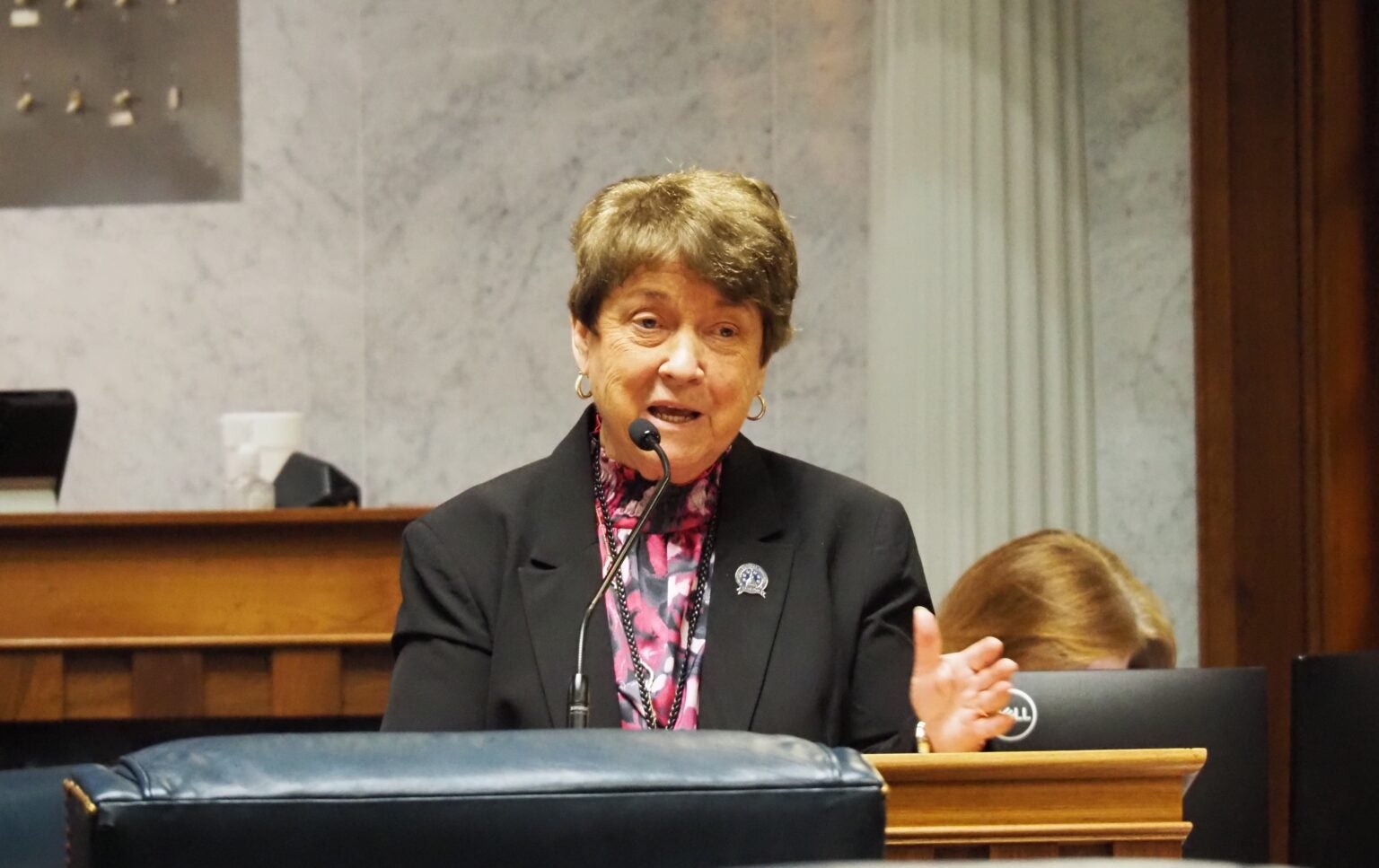 Indiana GOP Sen. Jean Leising comes out against early redistricting