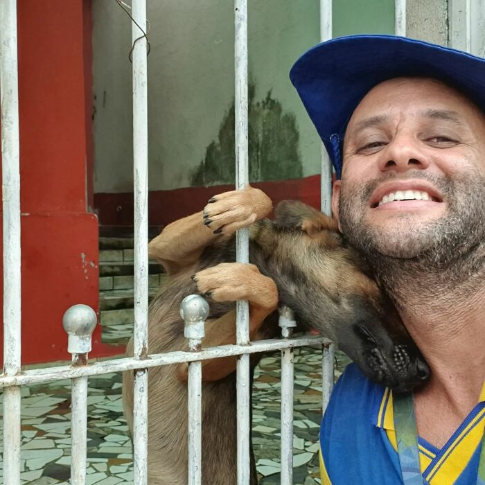 This Kind Mailman Stops To Befriend Dogs During His Deliveries, And It ...