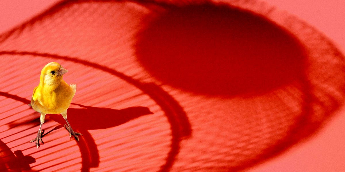 What Joining a Cult Taught Me About Consent