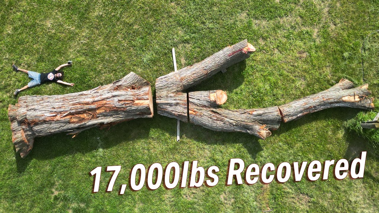 The most sentimental tree I've ever salvaged