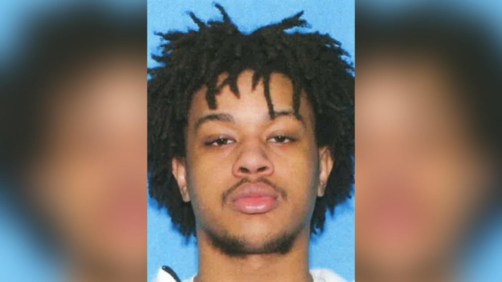 Body found in Justice, Illinois, identified as Christian Doss, missing ...