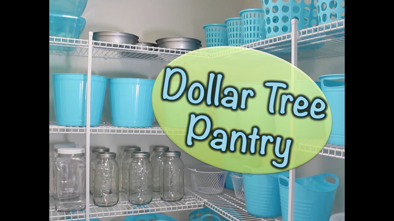 Dollar Tree pantry organization | Collab with AtHomeWithNikki