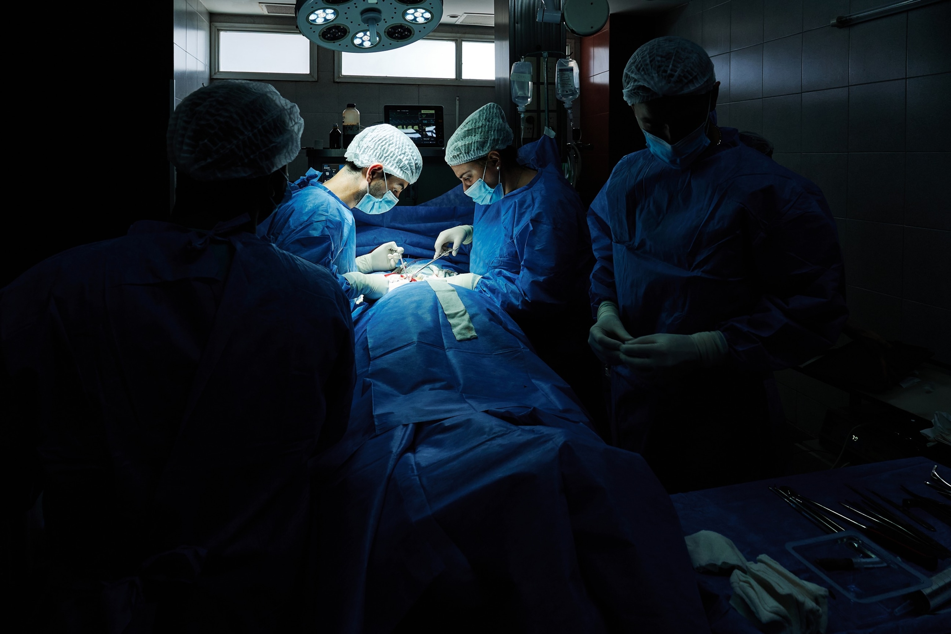 Scientists discover why pig kidneys were being rejected by transplant ...