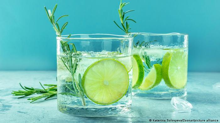 'Gin' must contain alcohol, top European court says