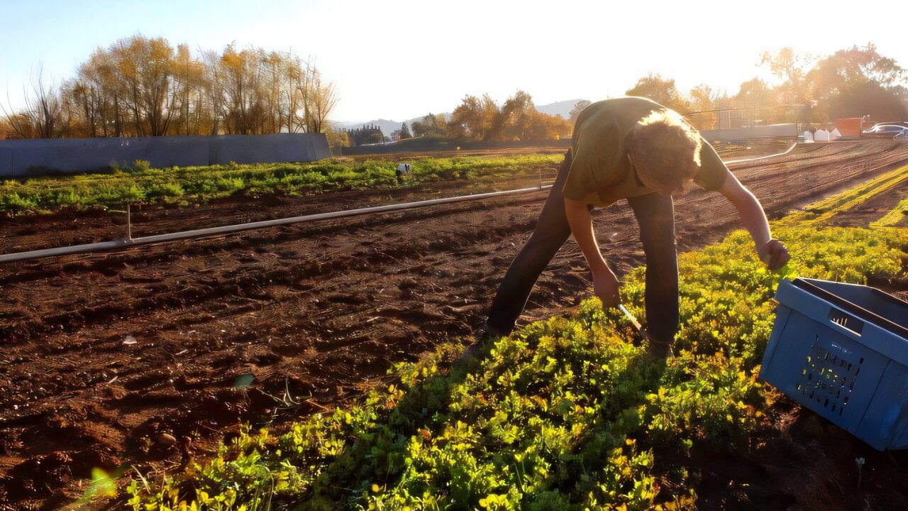 Eco-friendly agriculture practices may be easier than farmers think