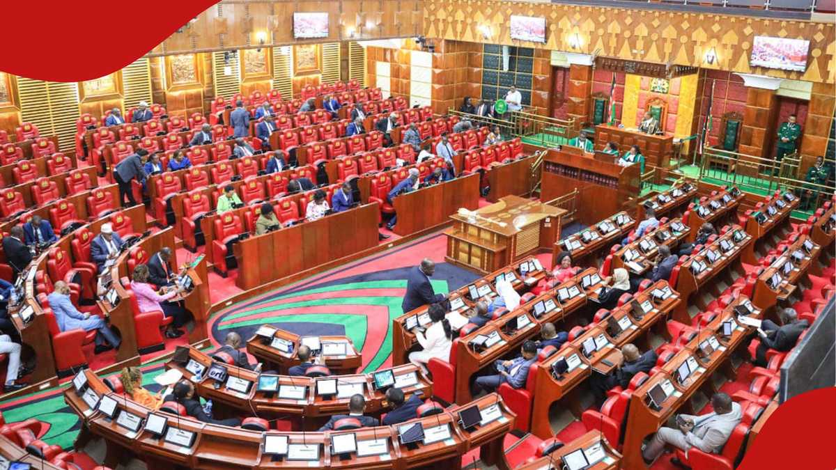 Drama in Parliament after MP Robert Mbui gets suspended for attempting ...