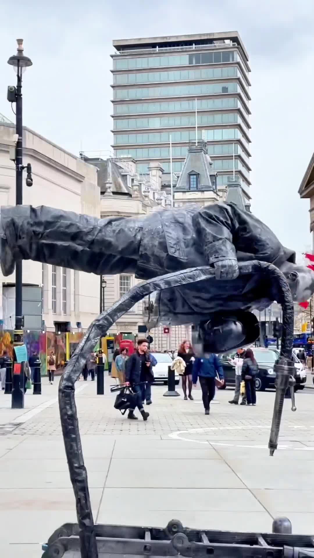 Their curious faces.