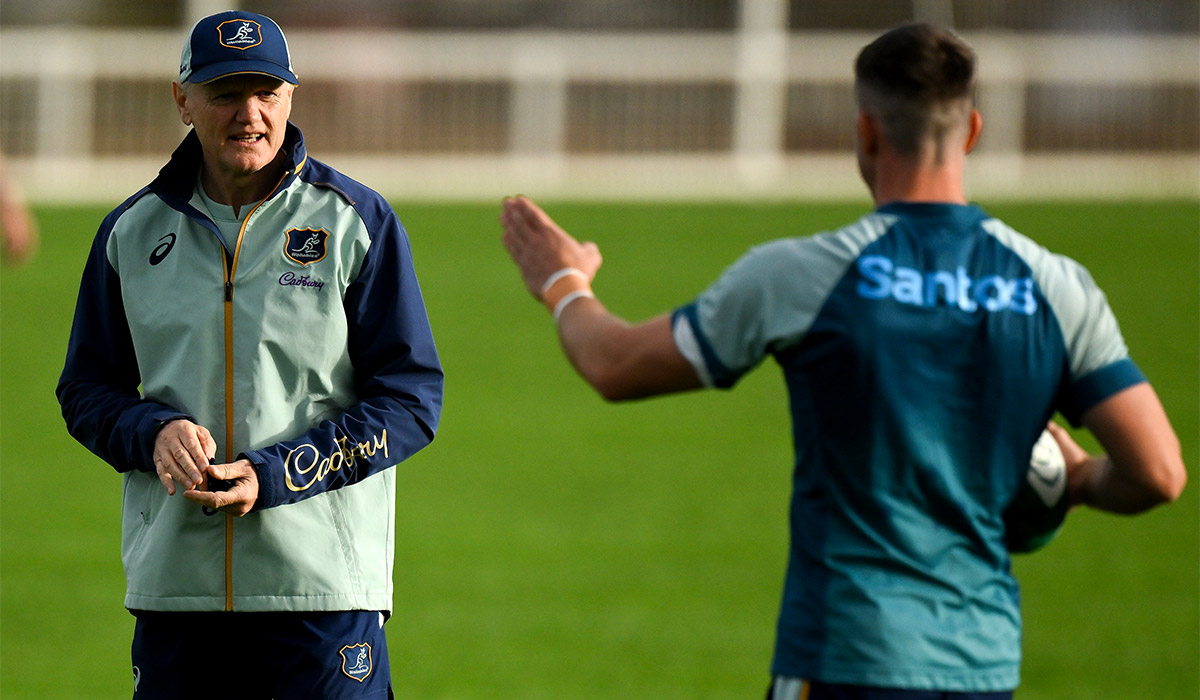 Joe Schmidt is nostalgic upon Dublin return for Ireland’s test against ...