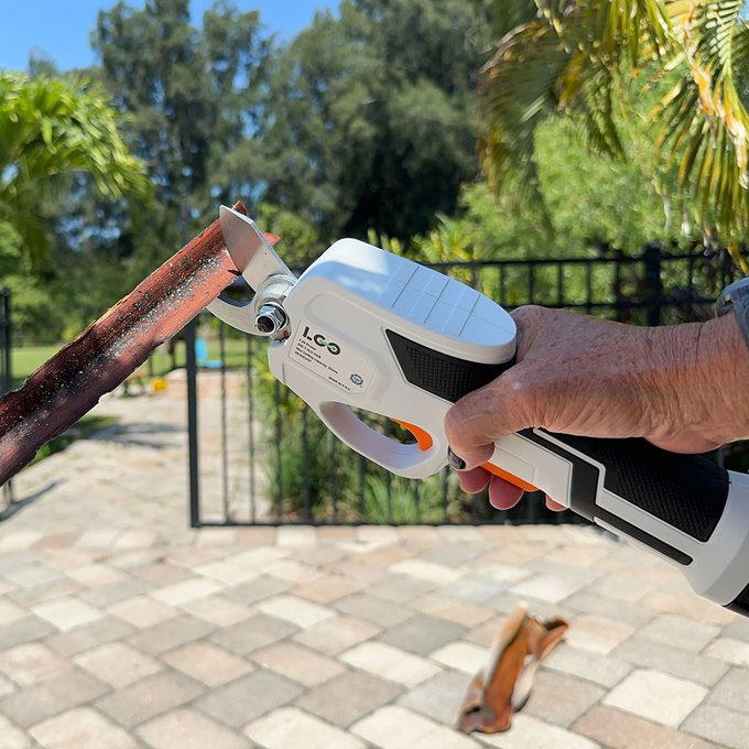 6 best electric pruning shears, tested and reviewed