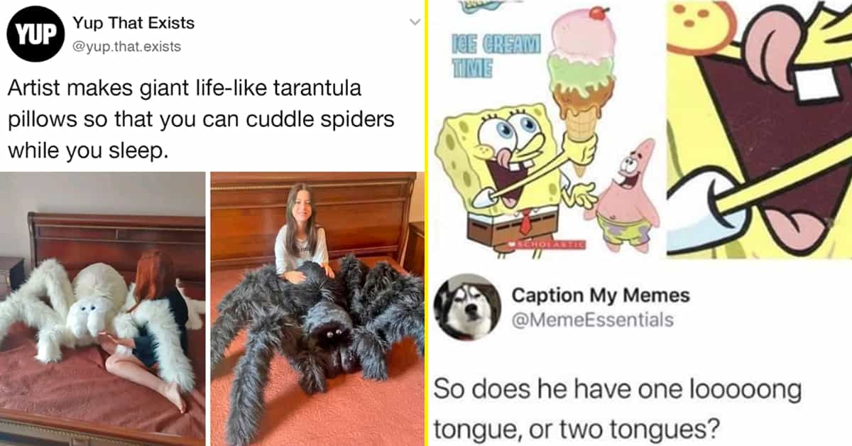 The most cursed things we saw on Twitter this month