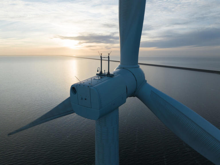 Are Sharks and Rays Using Offshore Wind Farms as Habitats?