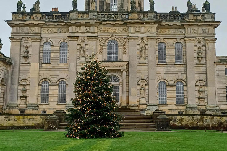 IN PICTURES: Castle Howard launches Wizard of Oz Christmas trail around ...