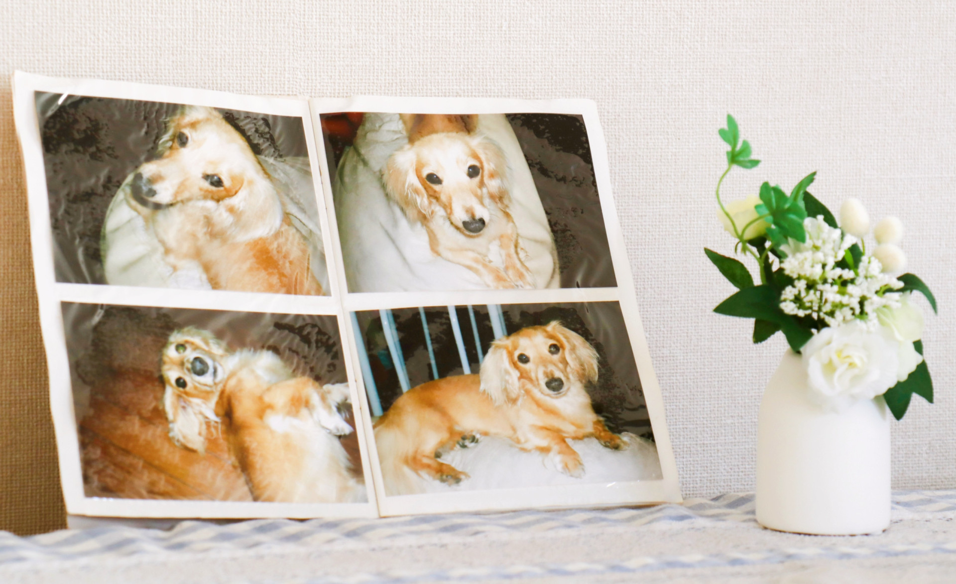 Should you be allowed time off work to grieve for a pet?