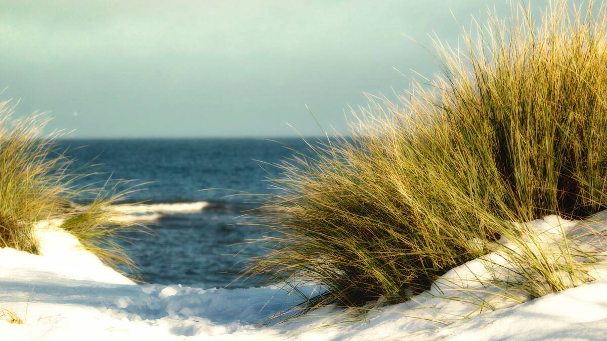 Unterwegs in Deutschland: Das sind die schönsten Spots an der Ostsee