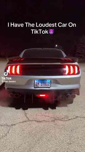 I Believe I Hold the Title of Mustang