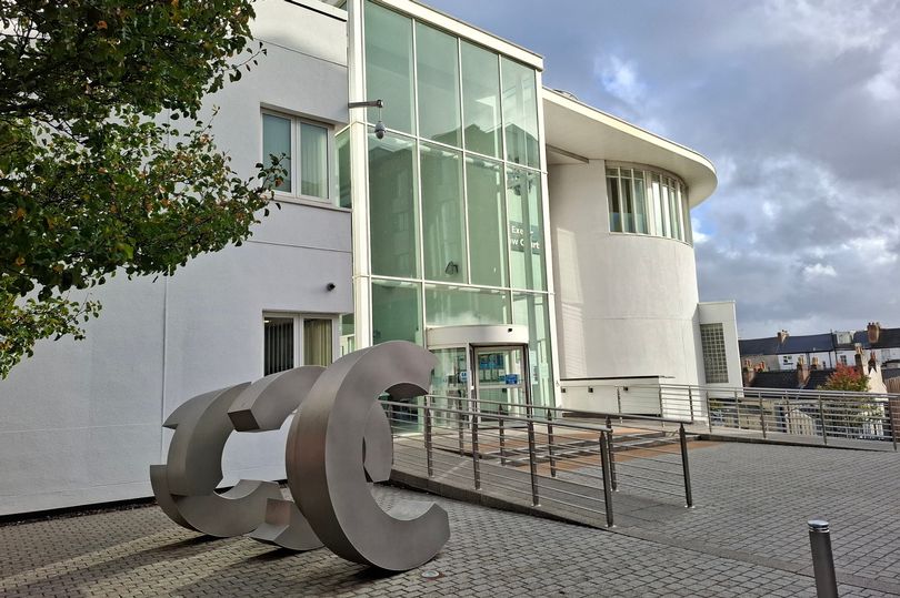 Devon woman guilty of £200K charity fraud