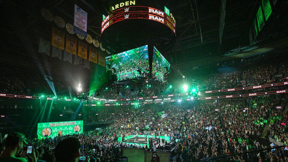 Released WWE talent free to wrestle elsewhere