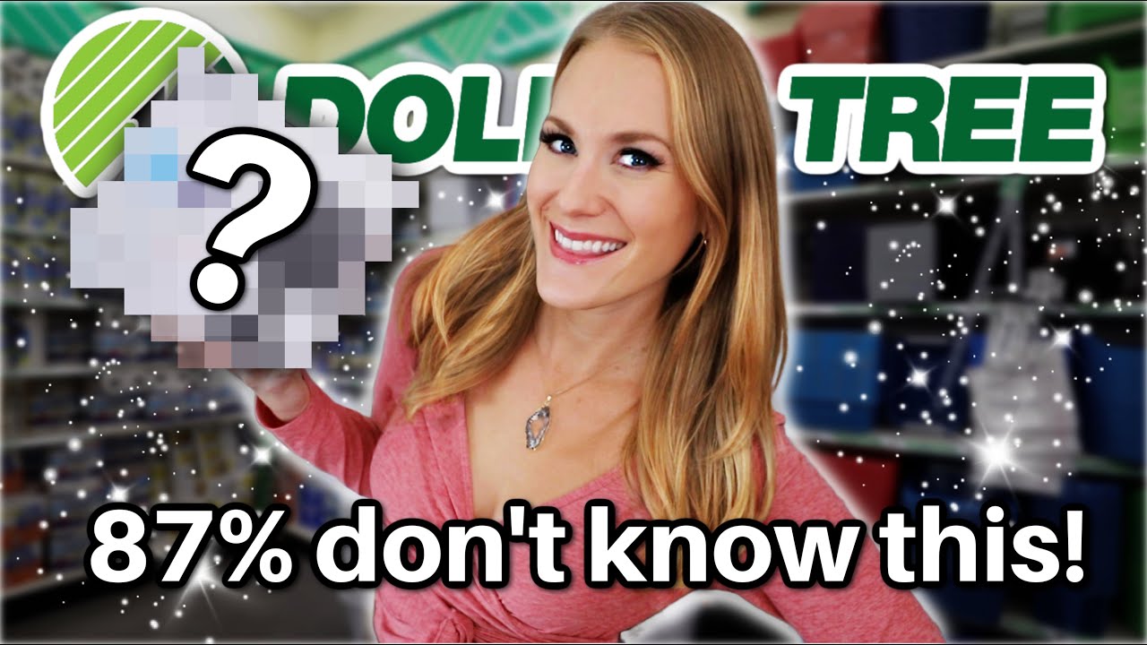 All new! Best Dollar Tree organizing secrets!