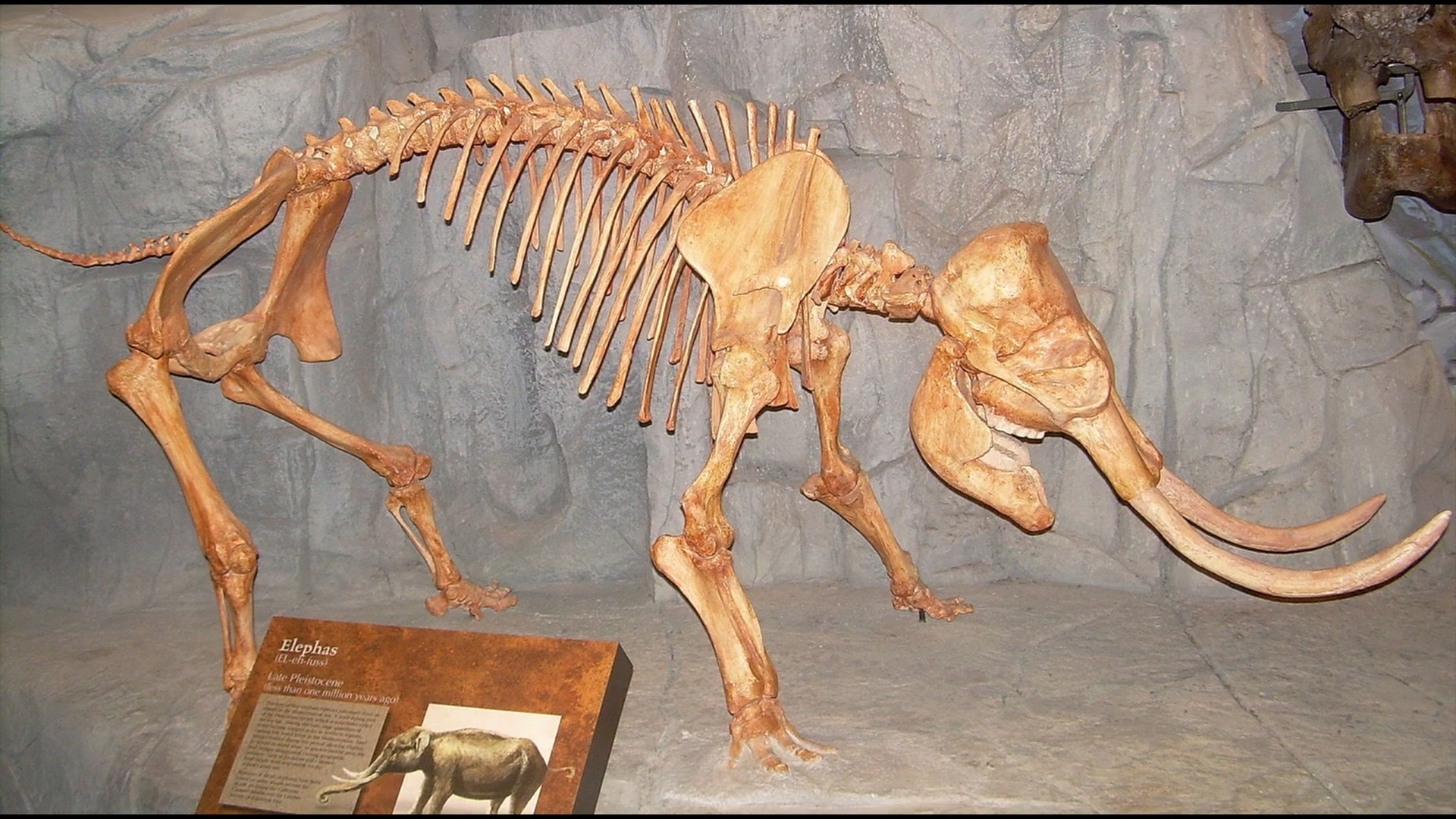 Dinosaurs, Mammoths, and the Greek Myths