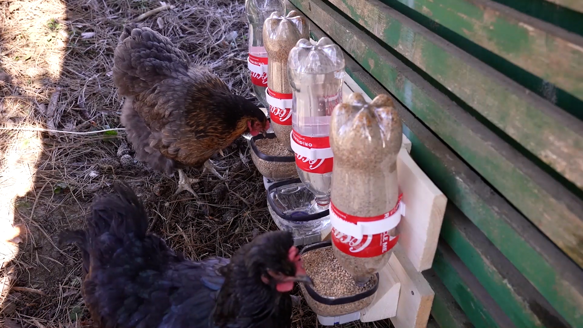 Quick and Easy DIY Chicken Feeders