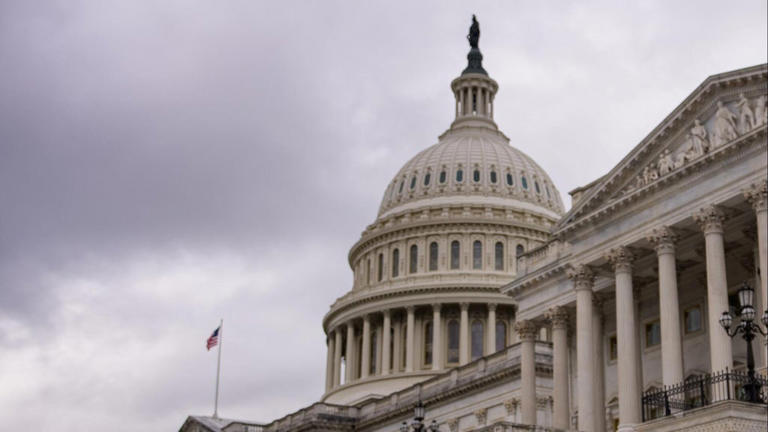 Minnesota representatives vote along party lines in government shutdown ...