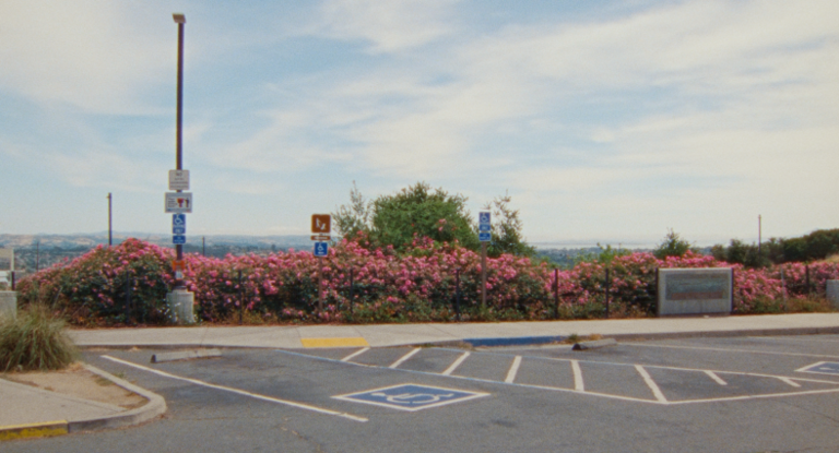 The Movie I Didn’t Make: Charlie Shackleton’s Zodiac Killer Project ...