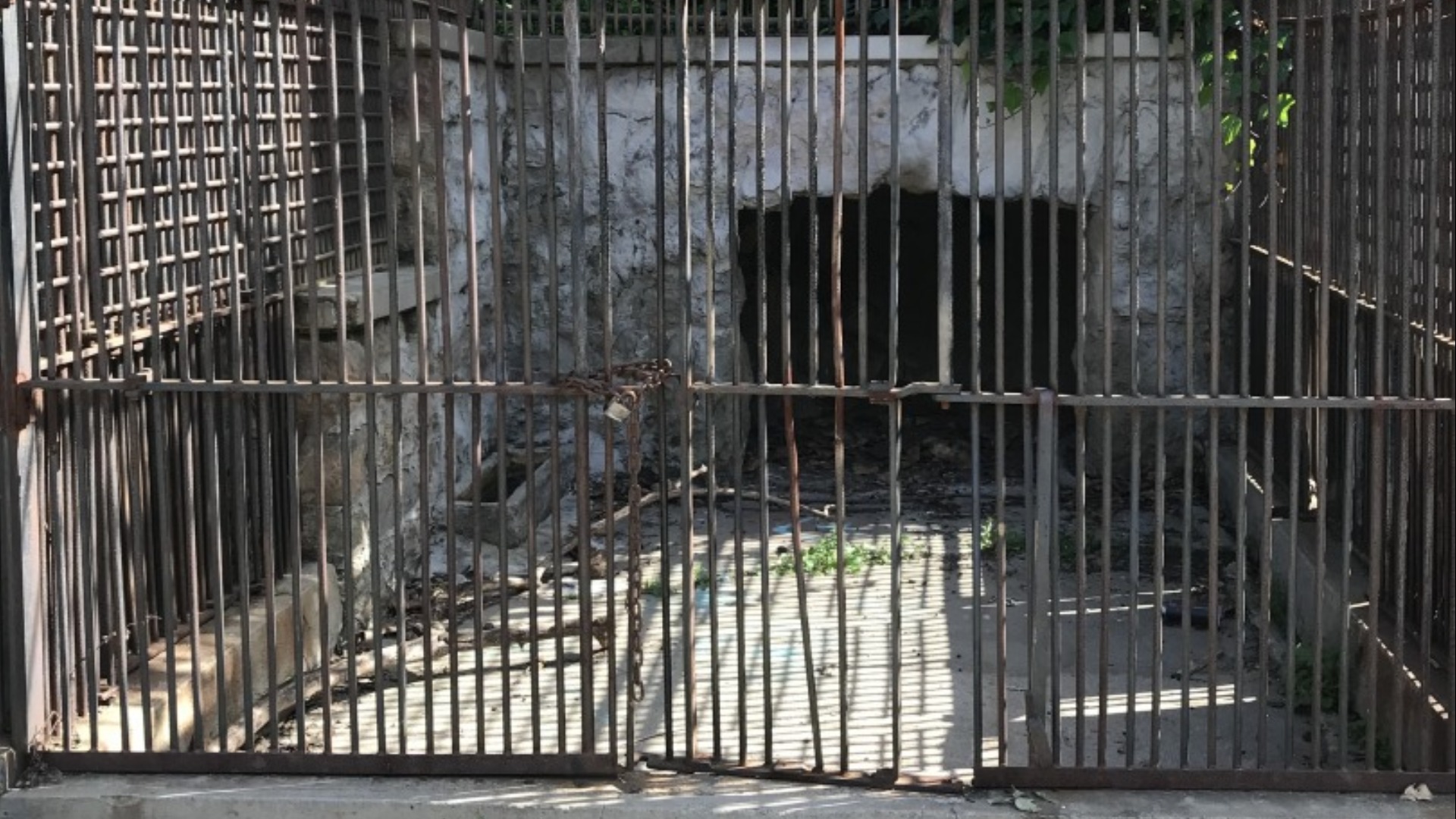 The Biggest Human Zoo in History