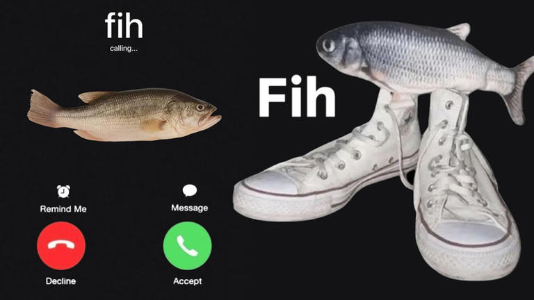 What Is The 'Fih' Meme? The Viral Slang Term's Meaning And What This ...