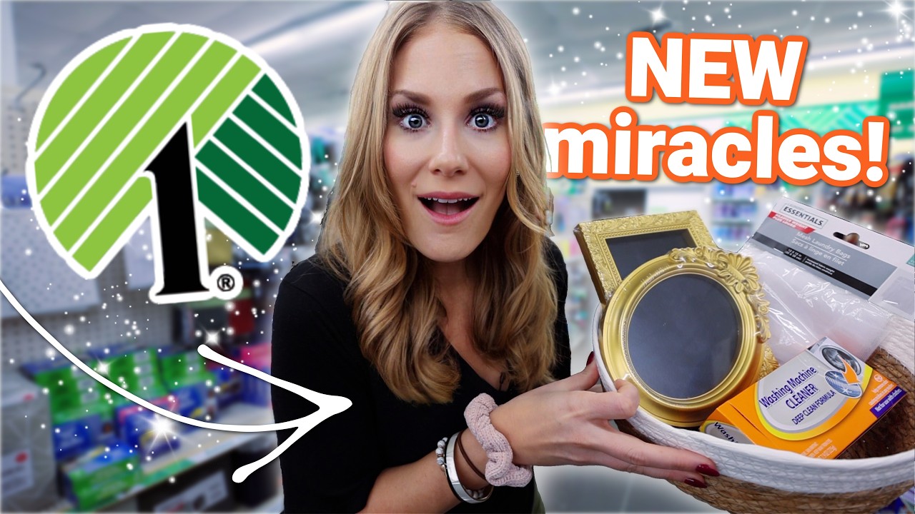 Newest Dollar Tree organization! 🔥 Laundry room miracles!