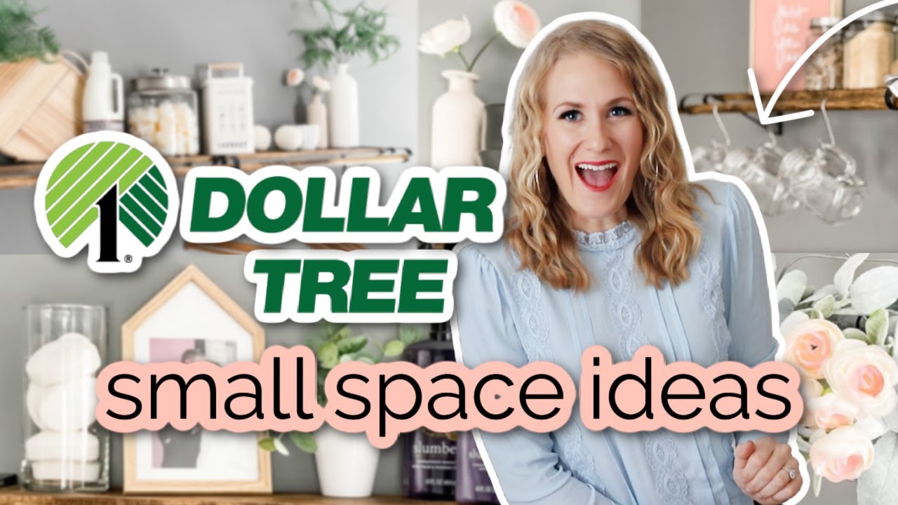 $1 Dollar Tree small space organizing ideas (kitchen, bathroom ...