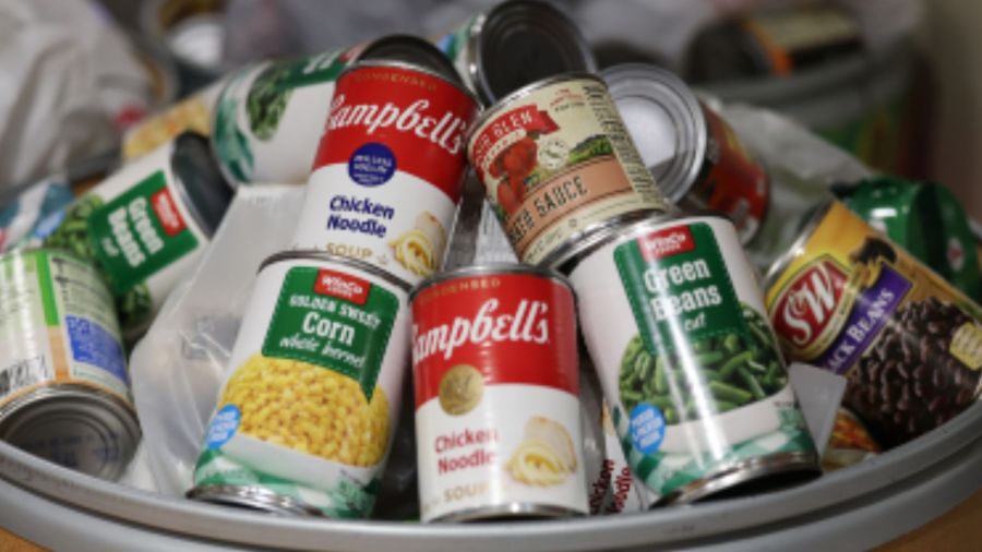 Donate cans, receive a succulent in annual Roseville food drive