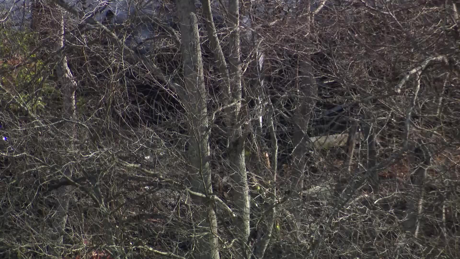 Fairfax County Fire: Flames and Smoke Shoot into Sky in Vienna