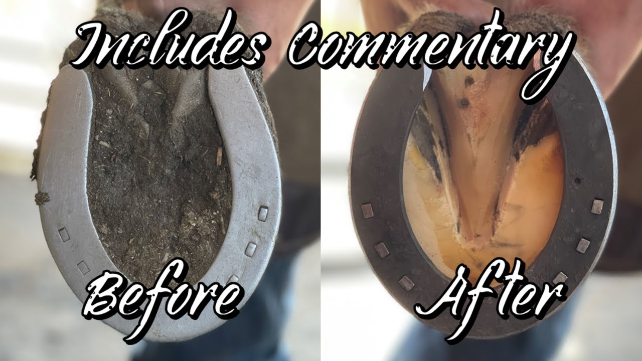 I tried hoof restoration: an oddly satisfying journey ASMR