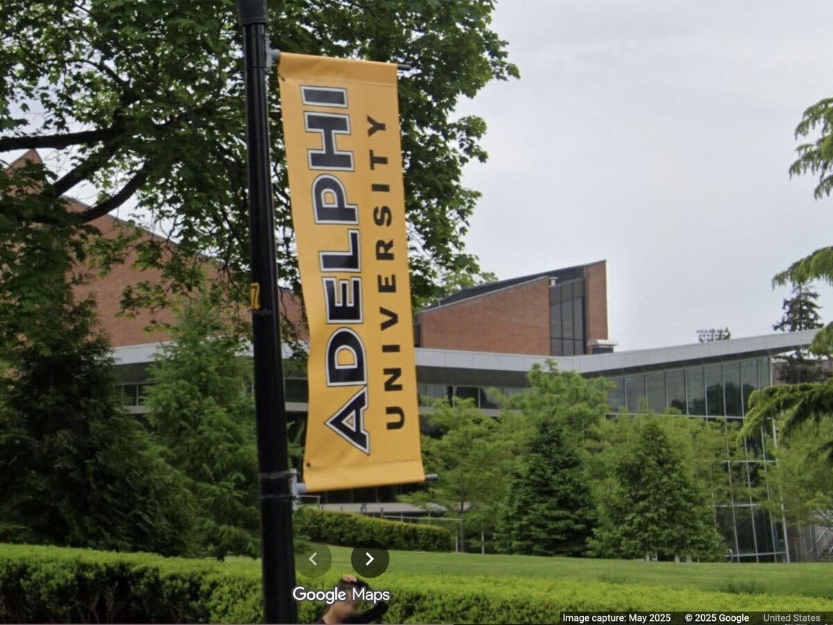 Adelphi Amongst Top Online Schools In New Ranking