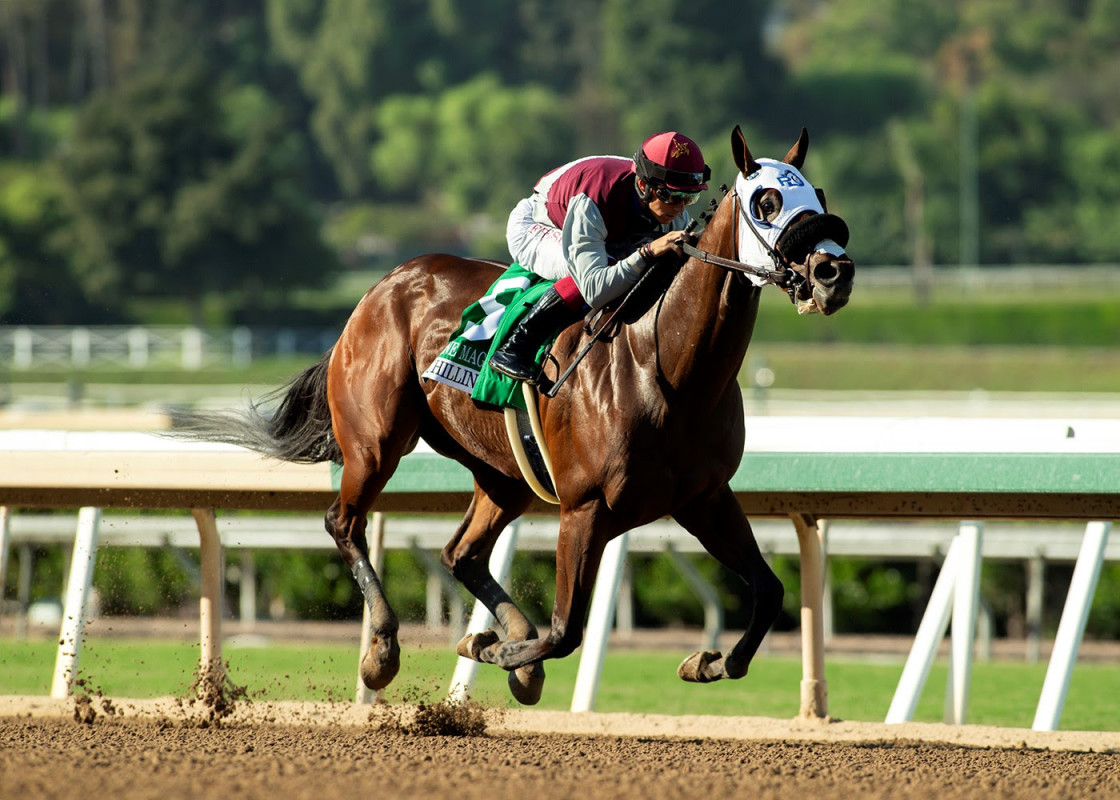 One Magic Philly made Rampart Stakes favorite over Saffie Joseph Jr. trio