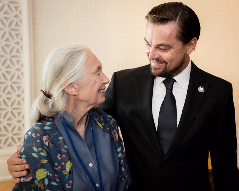 Reclusive Leonardo DiCaprio Delivers Moving Farewell for Jane Goodall ...