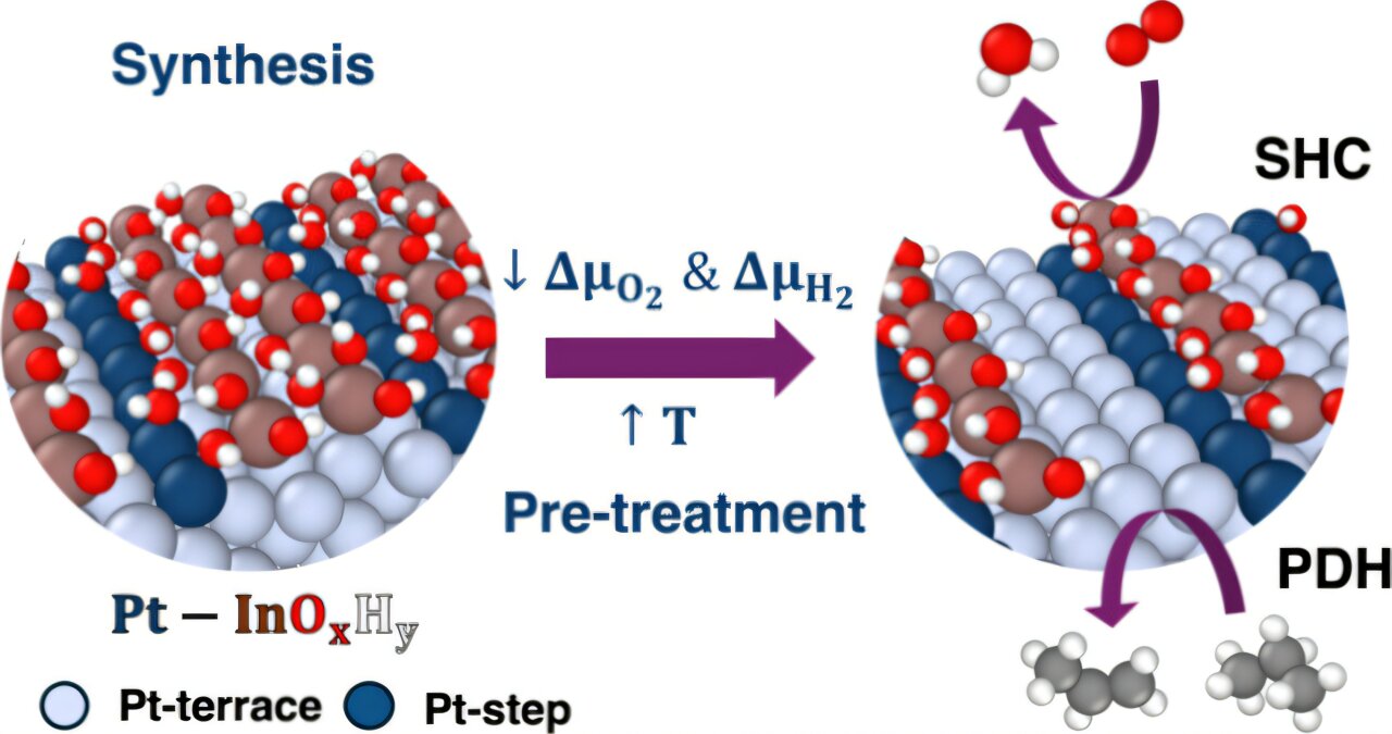 Algorithms reveal how propane becomes propylene for everyday products