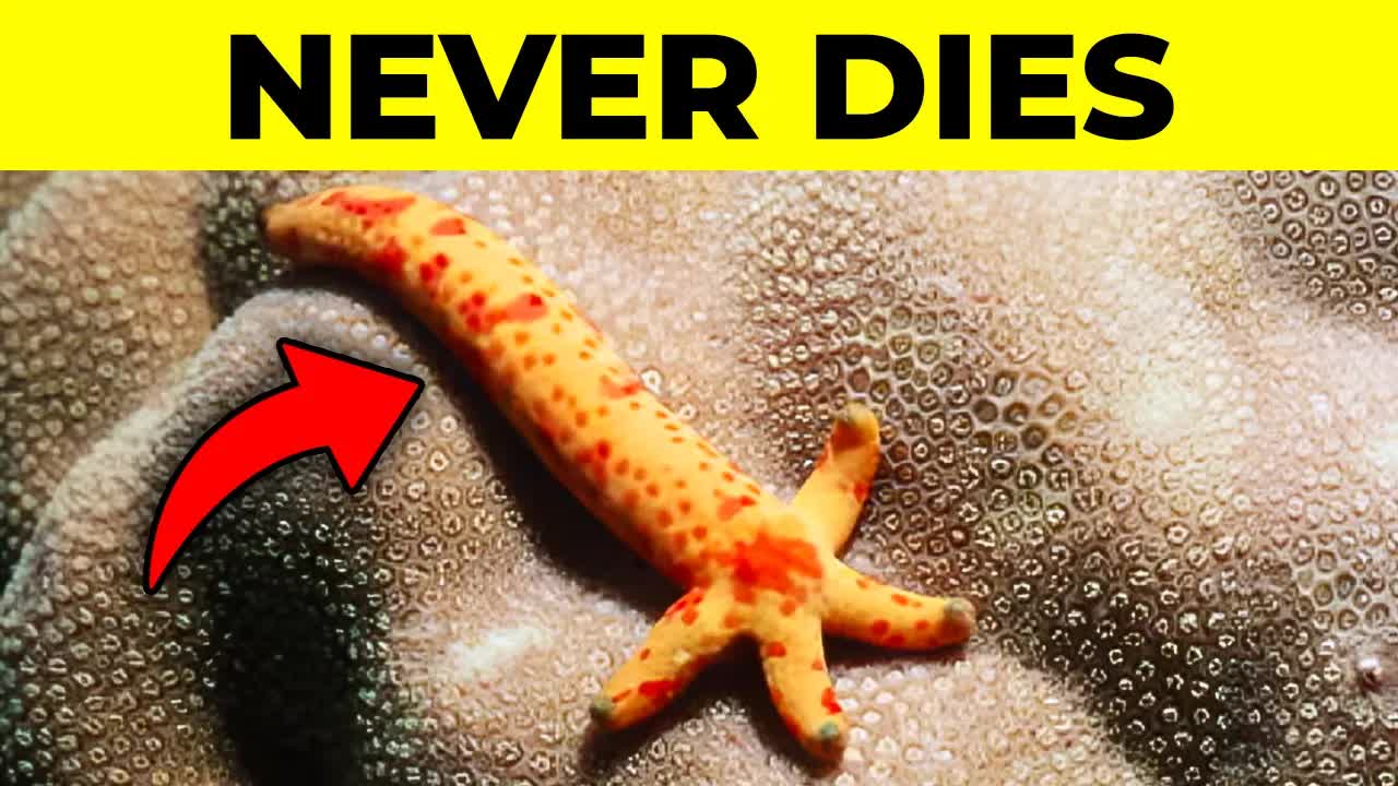 25 Little Known Facts Worth Knowing