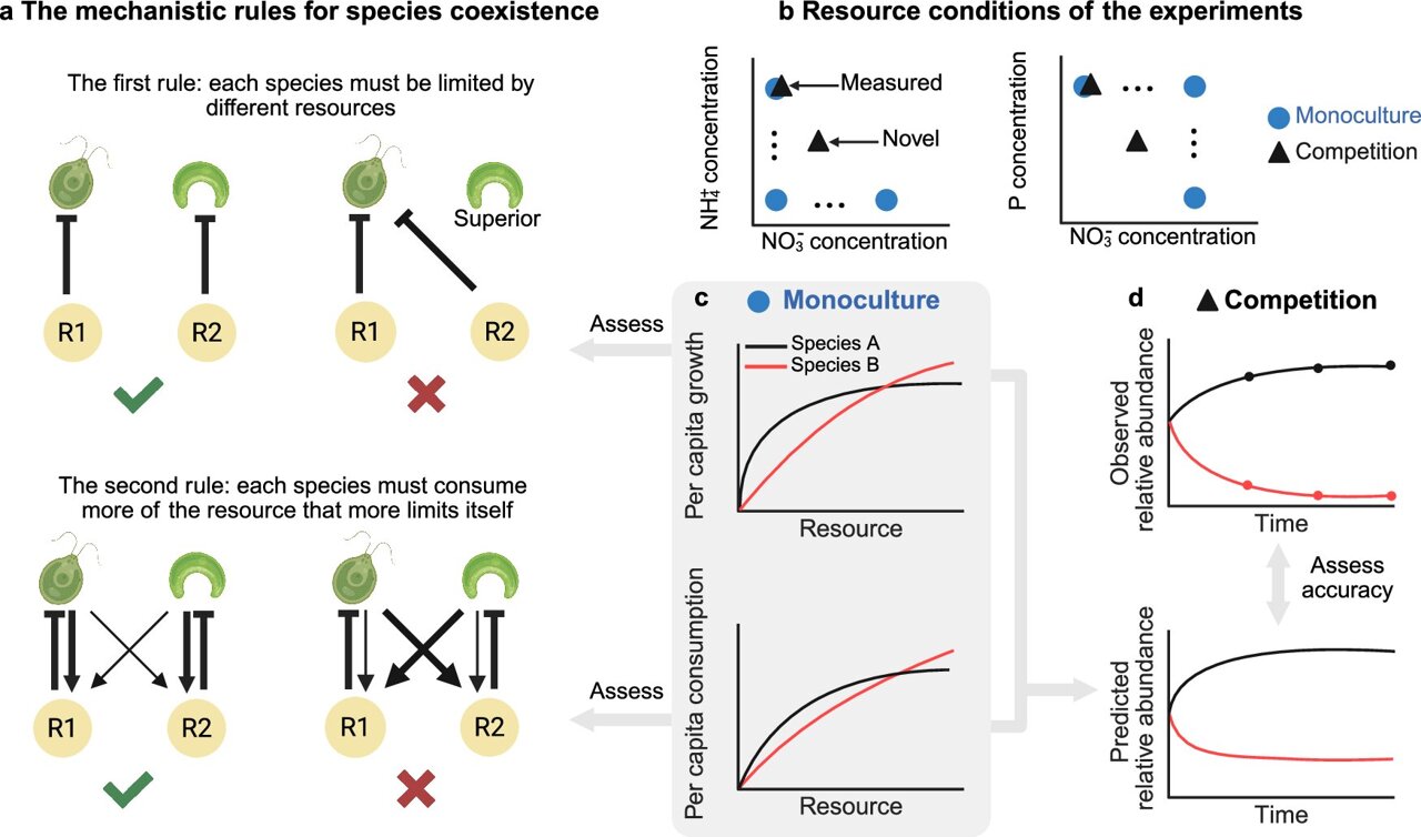 Mechanistic model can predict biological community development across ...