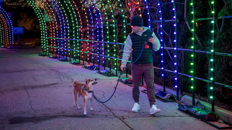 Milwaukee County Zoo "Wild Lights" returns for 2025 holiday season