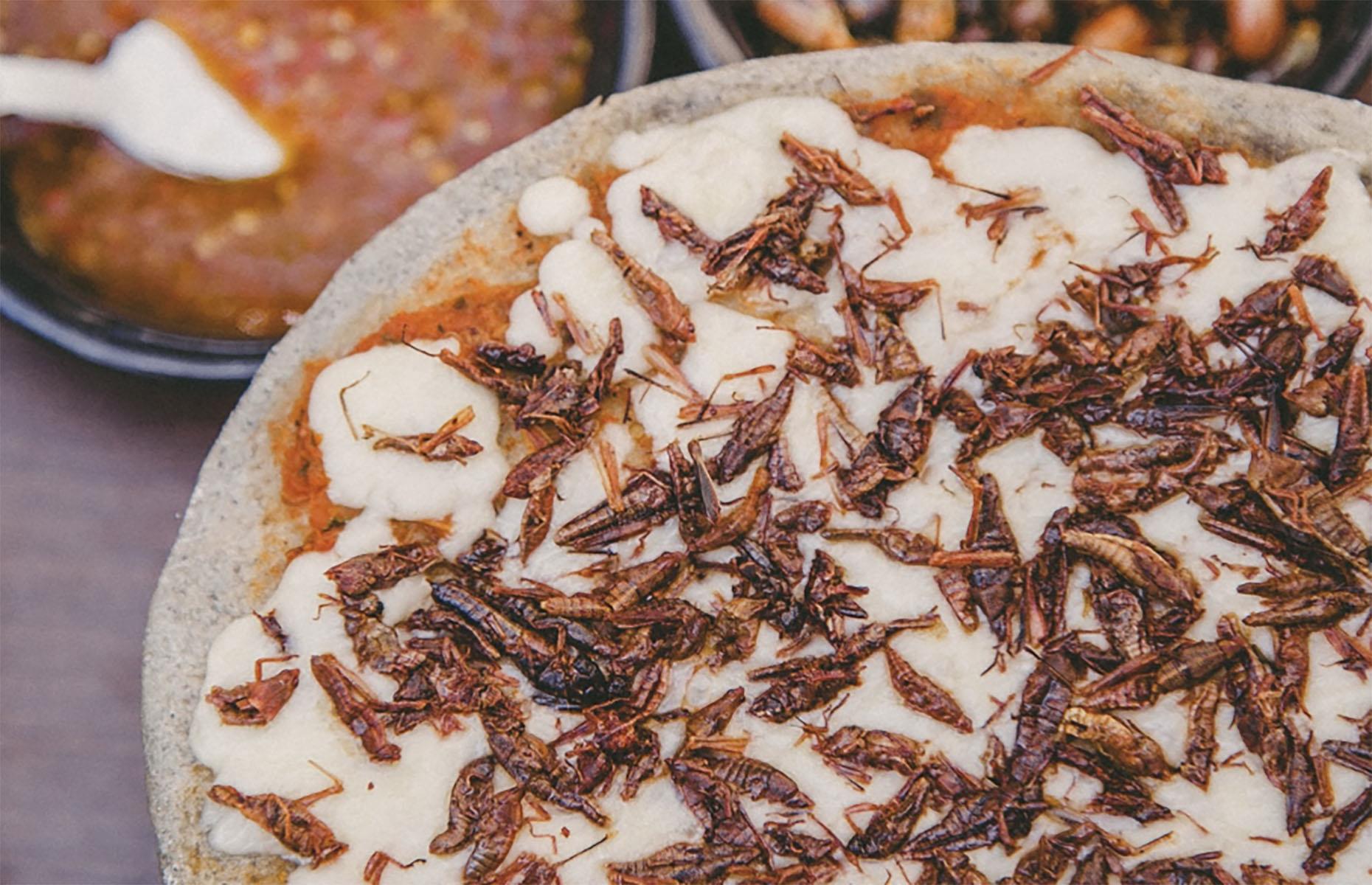 These are the world's weirdest pizza toppings