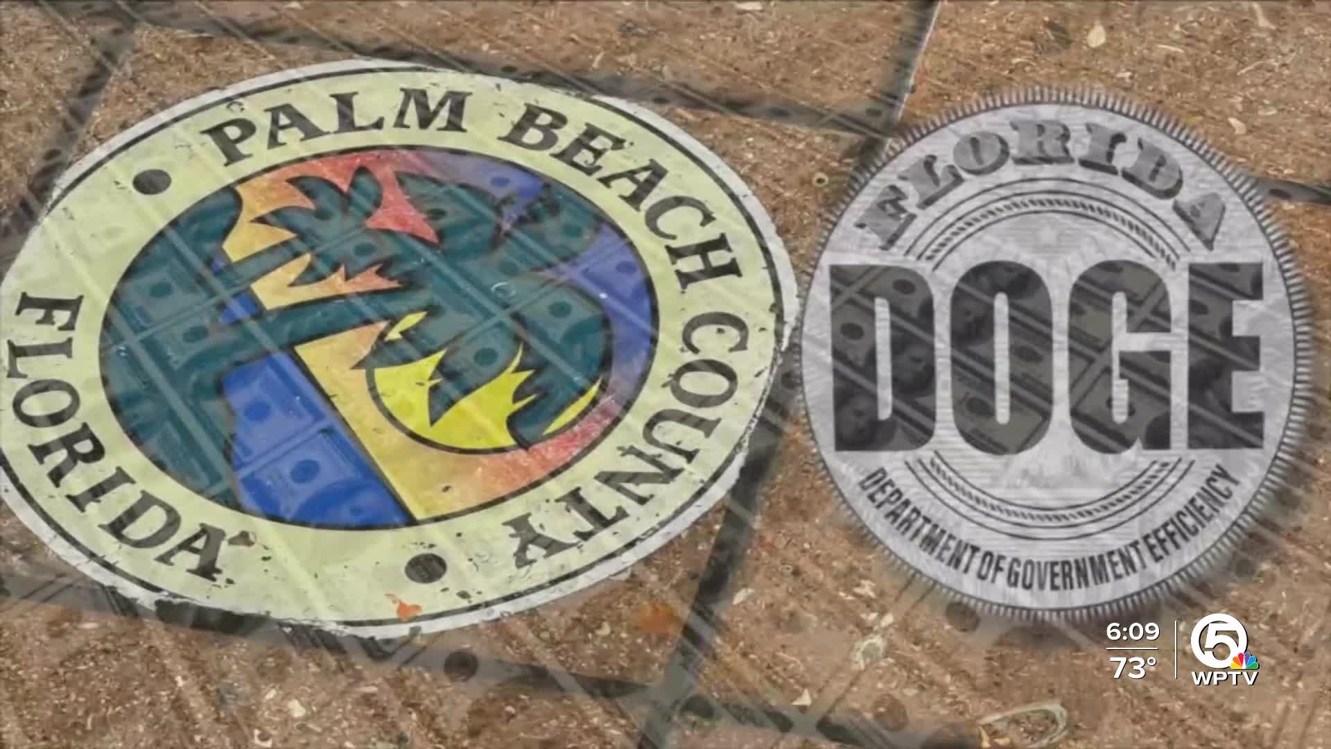 DOGE audit results could be released soon, Florida CFO says