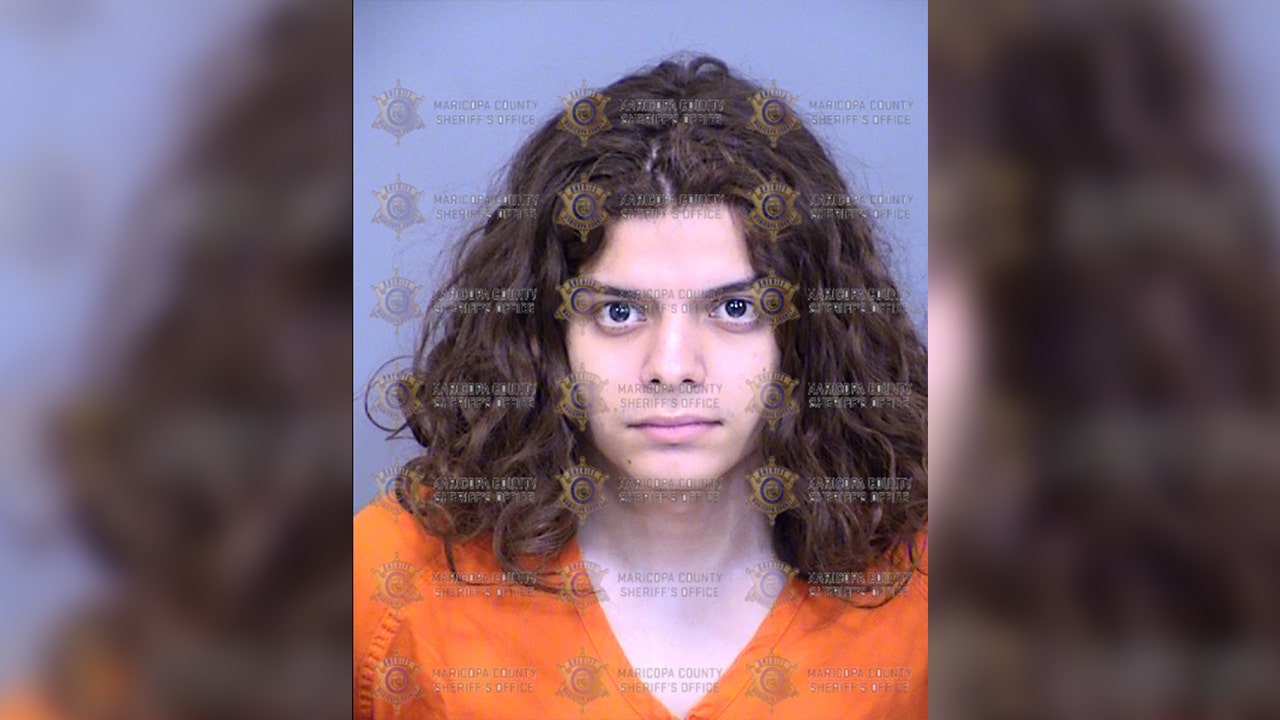 Teen arrested, facing murder charges in Avondale girl's shooting death: PD