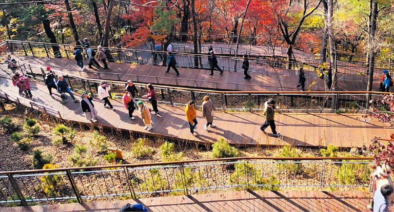 Namsan Sky Forest Path Surpasses 50,000 Visitors in 19 Days