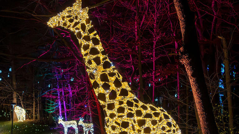 Milwaukee County Zoo "Wild Lights" returns for 2025 holiday season