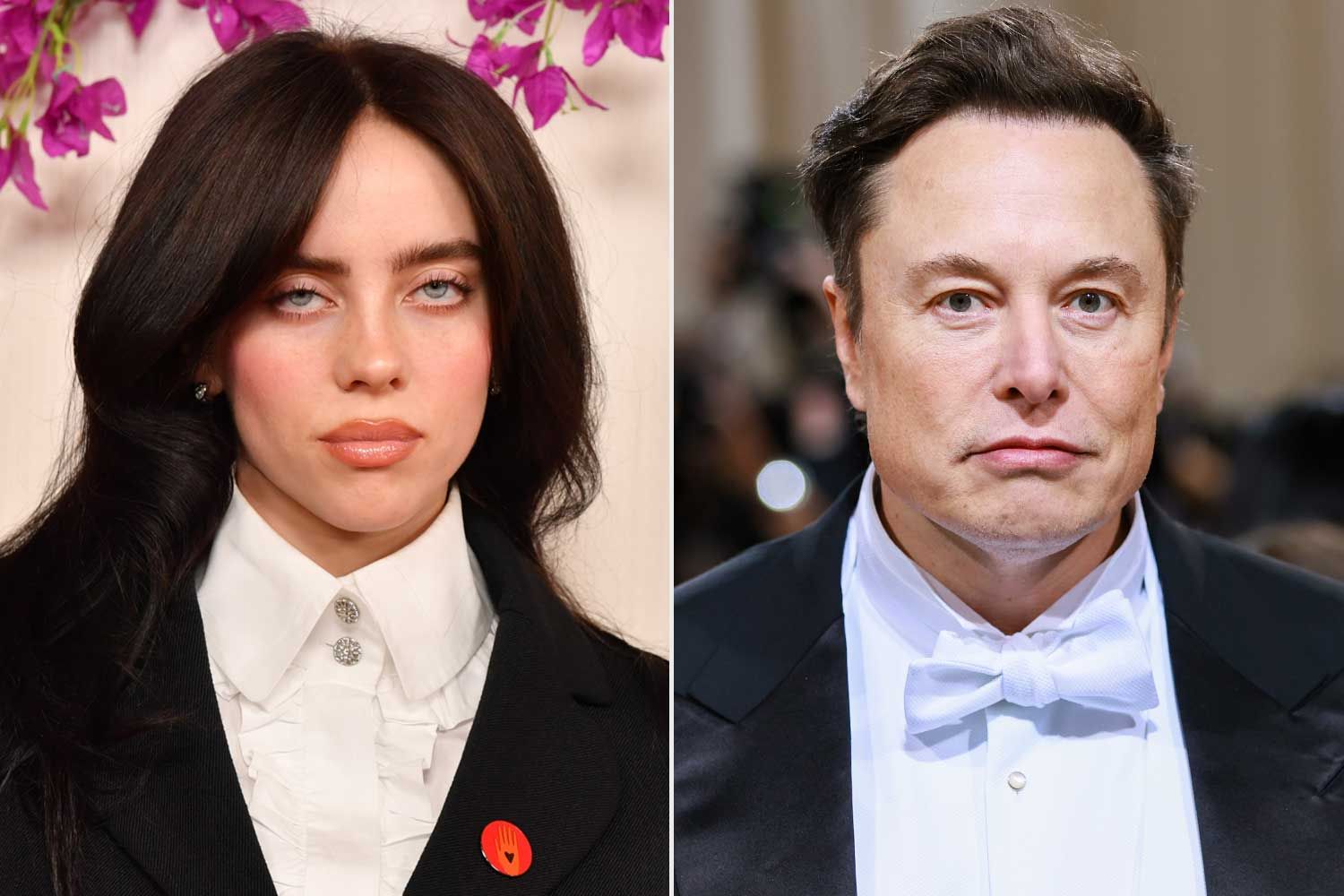 Billie Eilish calls out Elon Musk in explosive tirade, brands him ...