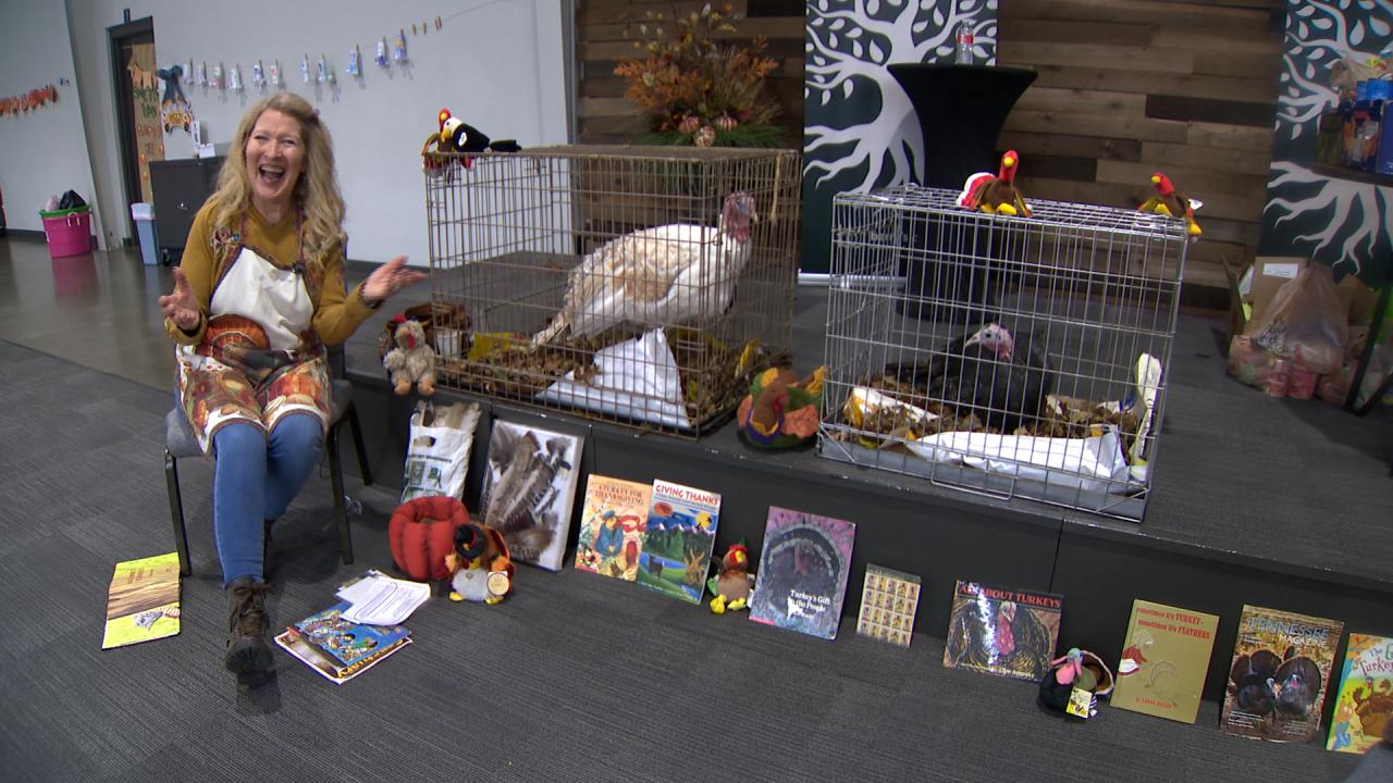 'The Turkey Lady' brings turkeys to meet kids in tradition running ...