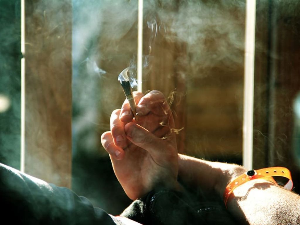 Marijuana users upset Trump will harsh their national park mellow ...