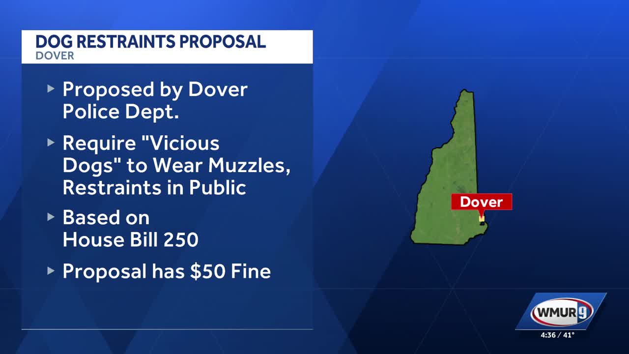 Dog restraints proposal in Dover